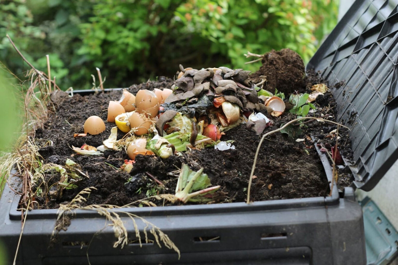 Efficient Composting Solutions for Homes & Businesses | Eco-Friendly ...